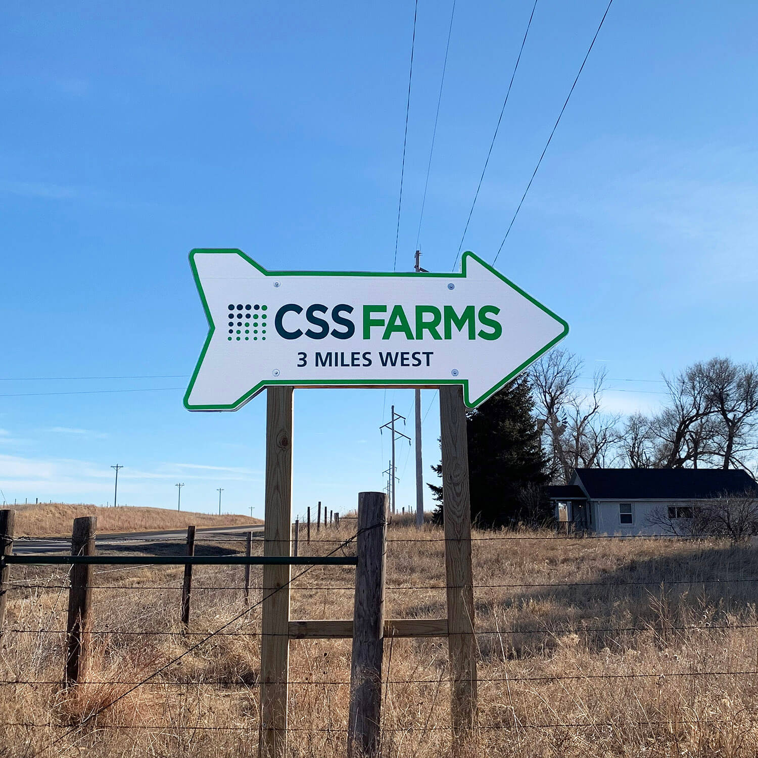 Seed - CSS Farms