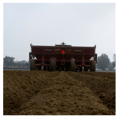 Specialty - CSS Farms