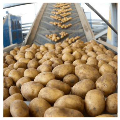 Specialty - CSS Farms