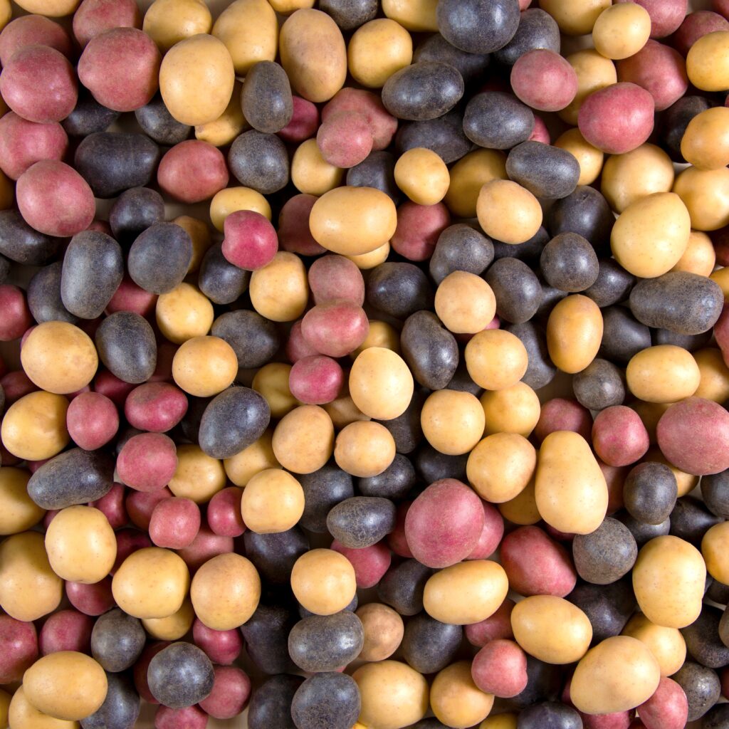 TableStock - CSS Farms