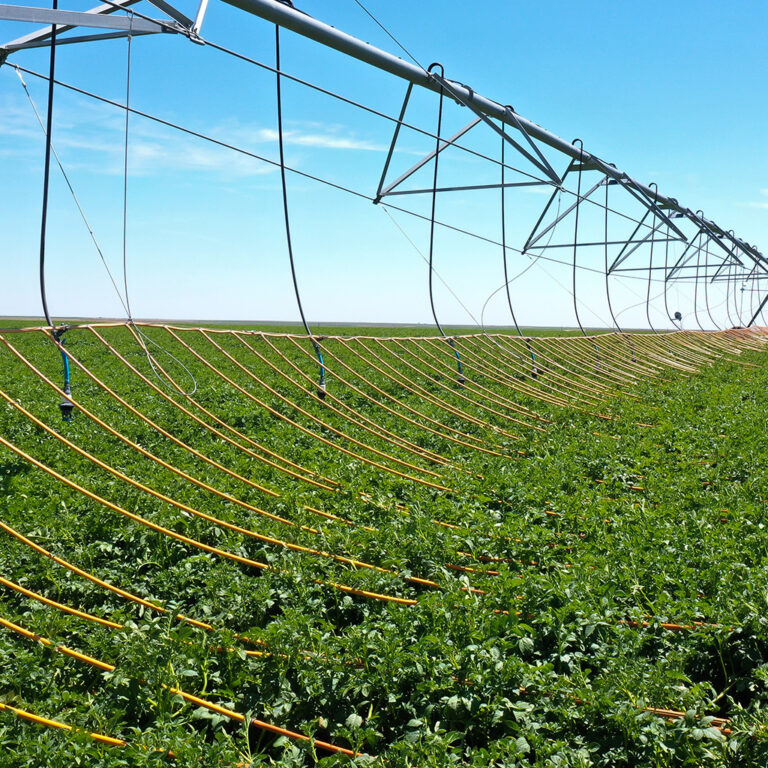 Sustainability - CSS Farms